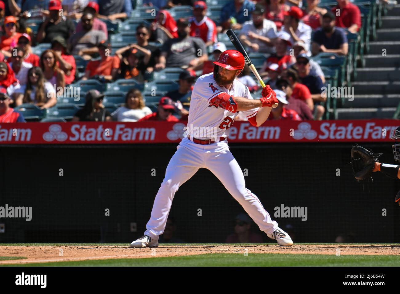 April 24, 2022: Los Angeles Angels first baseman Jared Walsh (20 ...