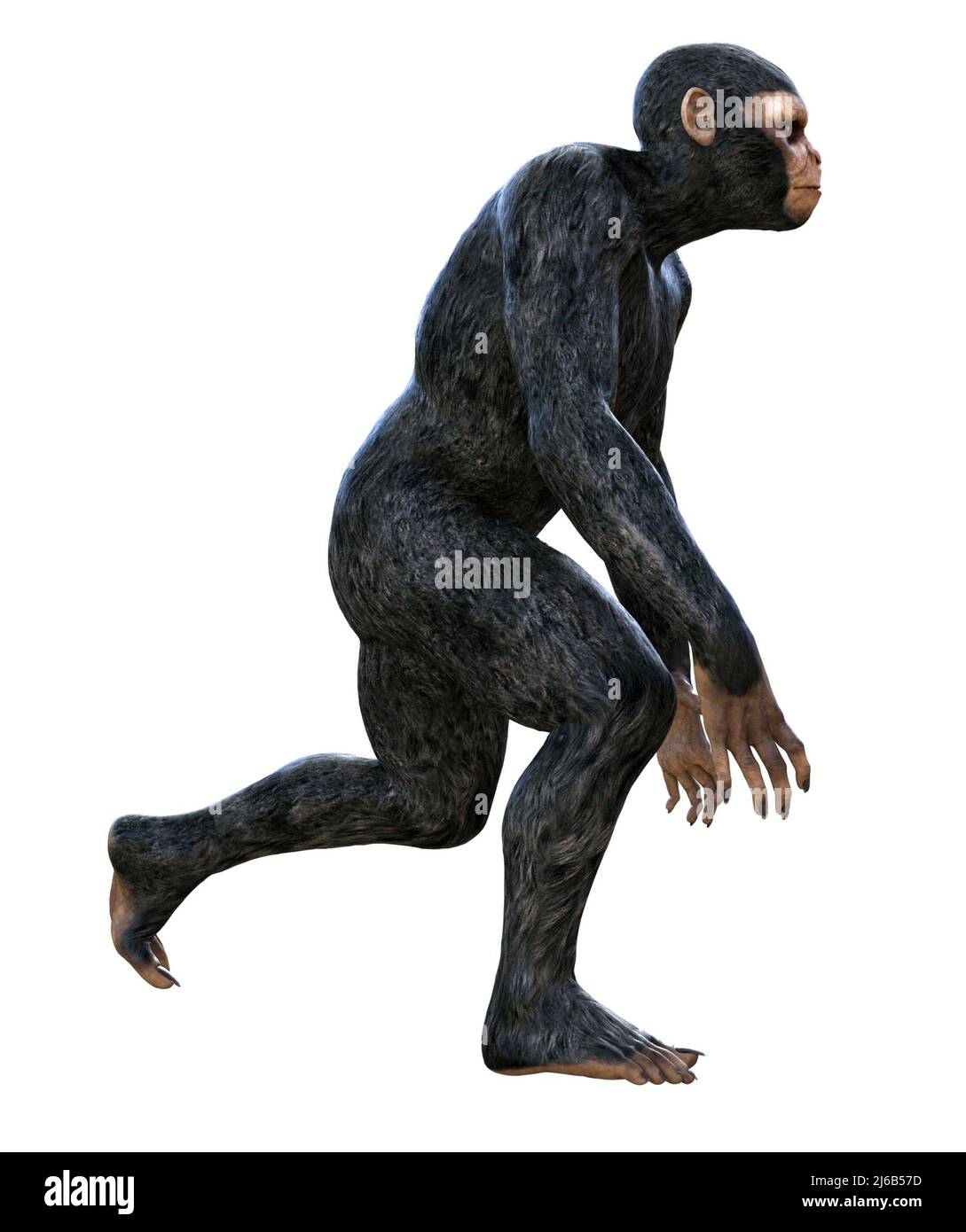 primitive man walking, 3d illustration Stock Photo - Alamy