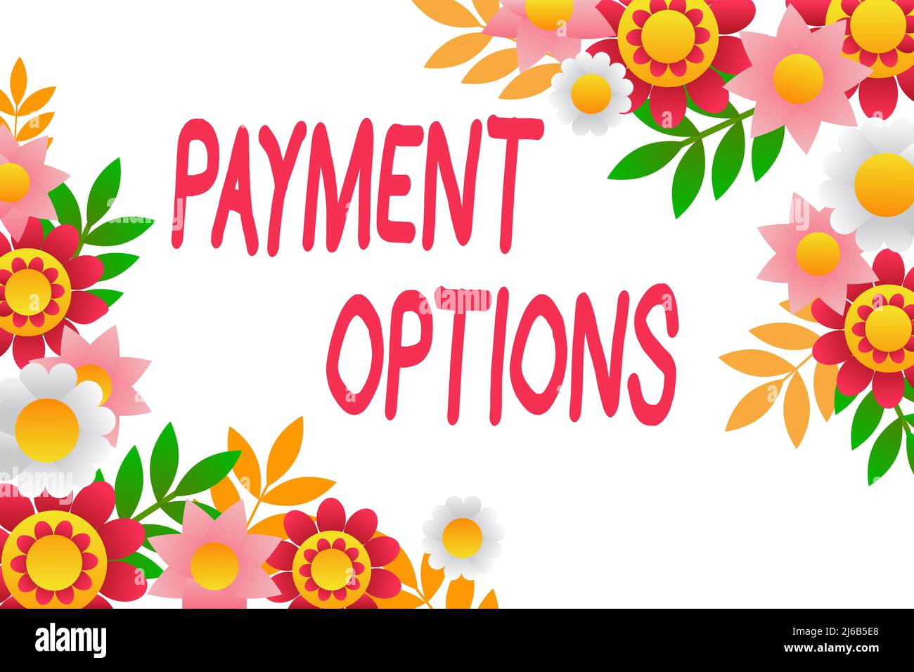 Conceptual display Payment Options. Business idea The way of chosen to ...