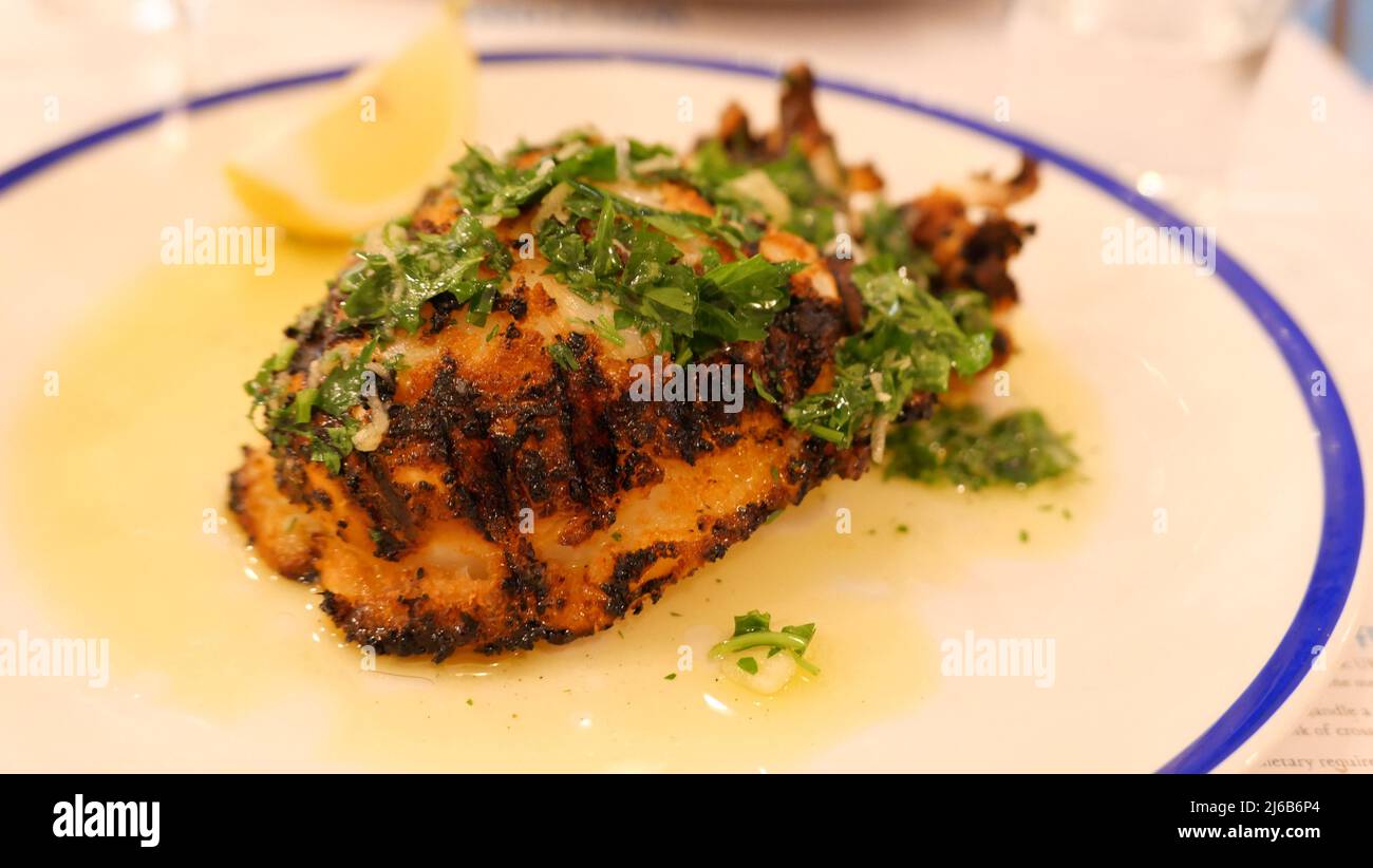 Baked stuffed squid garnished with parsley on white blue rimmed plate ...