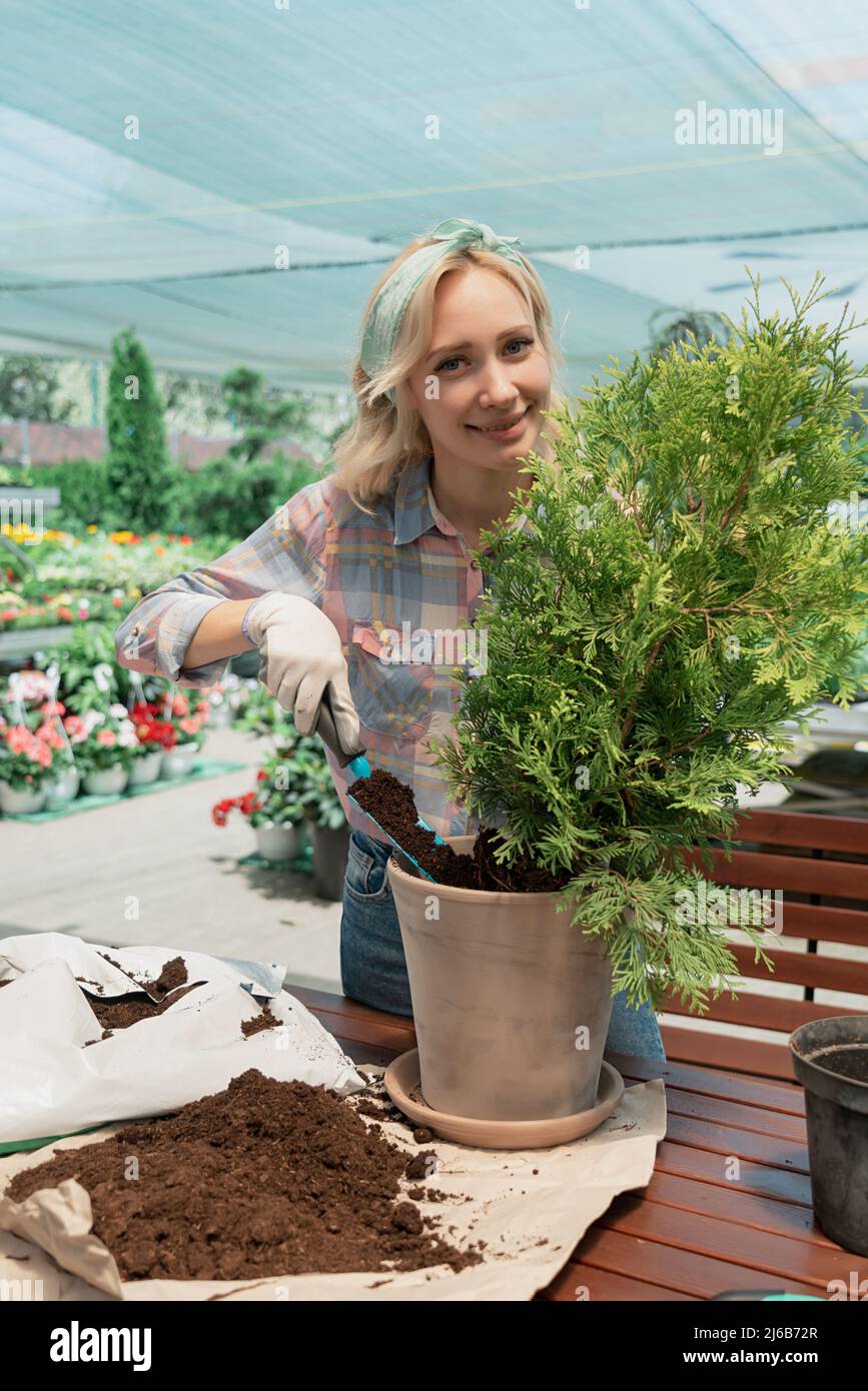Woman planting a bush in flower pot using dirt in garden center Stock ...