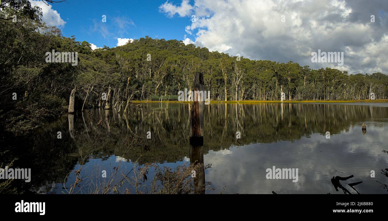 Reflections on Lake Cobbler in the Victorian Alpine Ranges Stock Photo ...