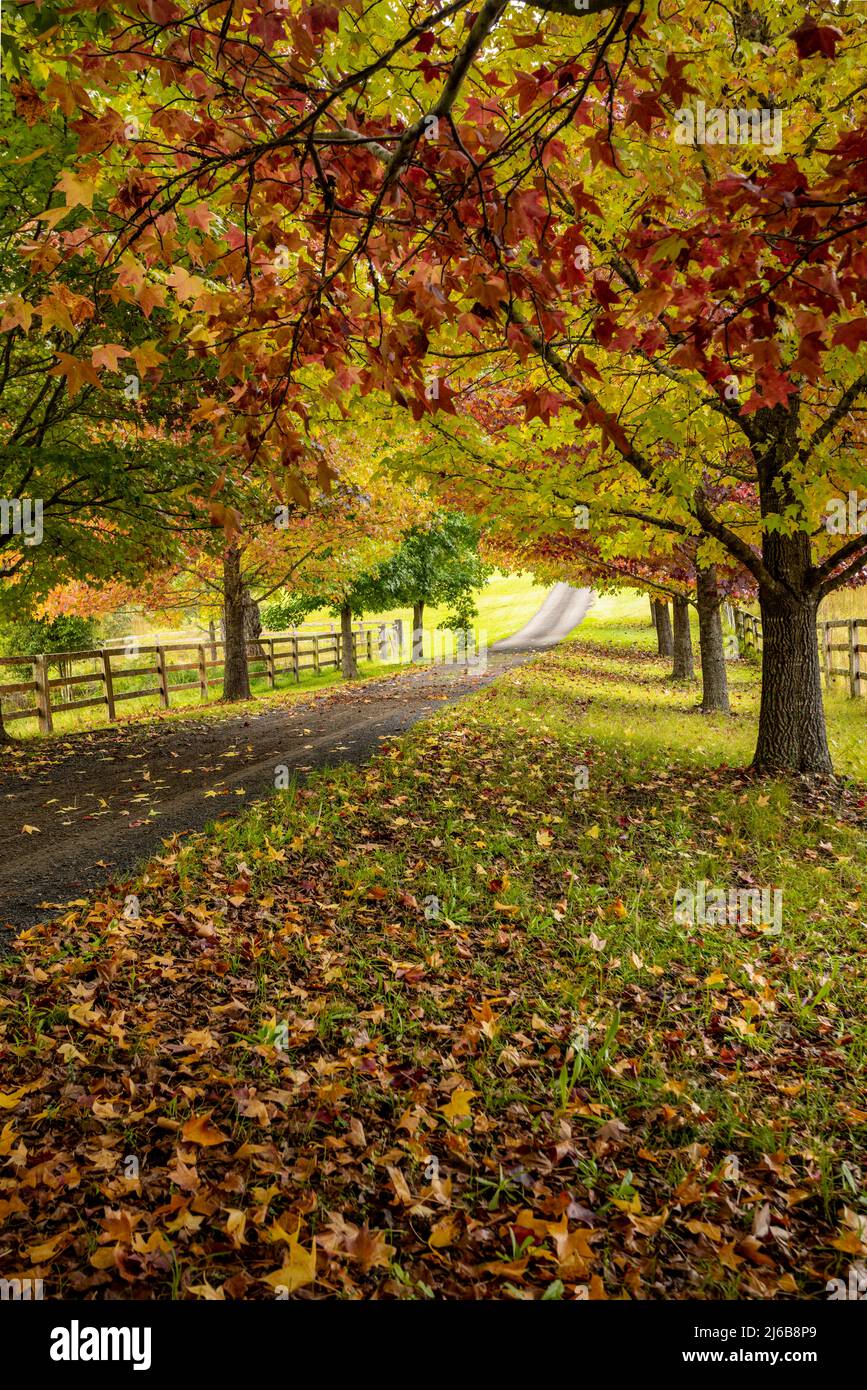 Printable wallpaper hi-res stock photography and images - Alamy