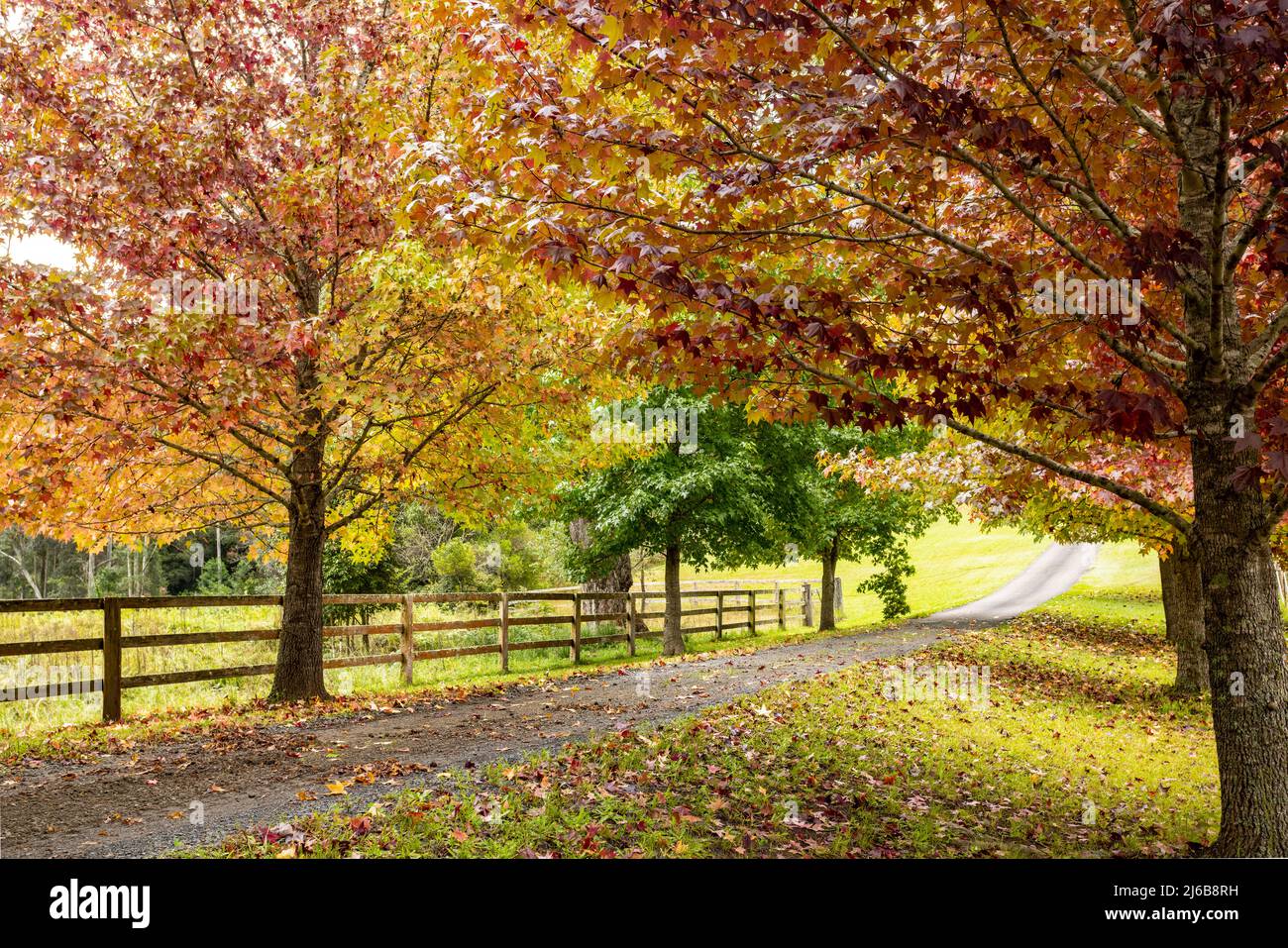 Printable calendar hi-res stock photography and images - Alamy