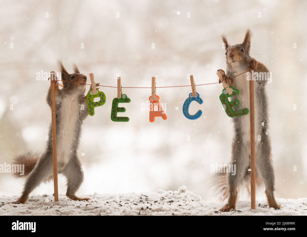 Peace text hi-res stock photography and images - Alamy