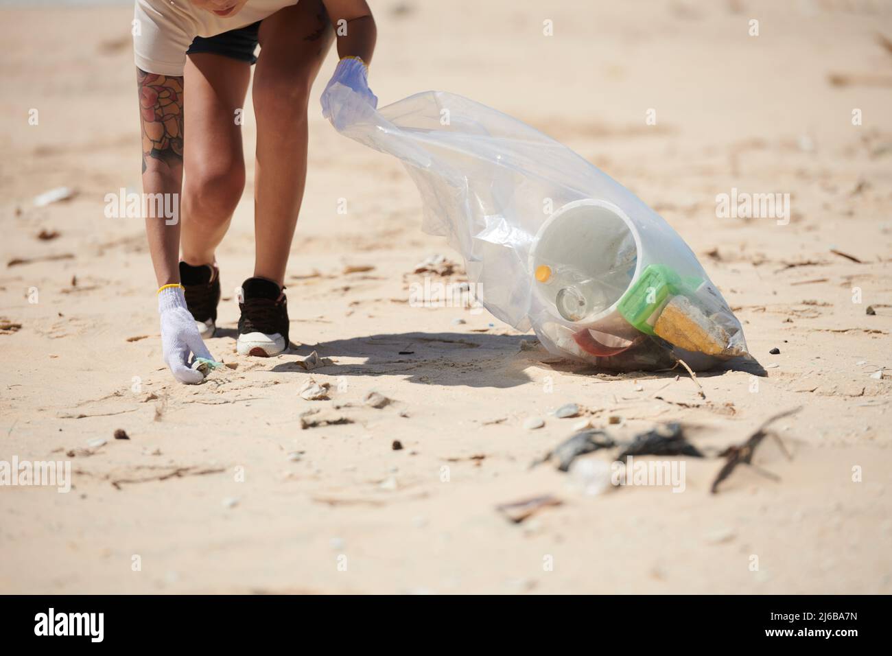 Cropped image of female volunteer cleaning beach from plastic waste ...