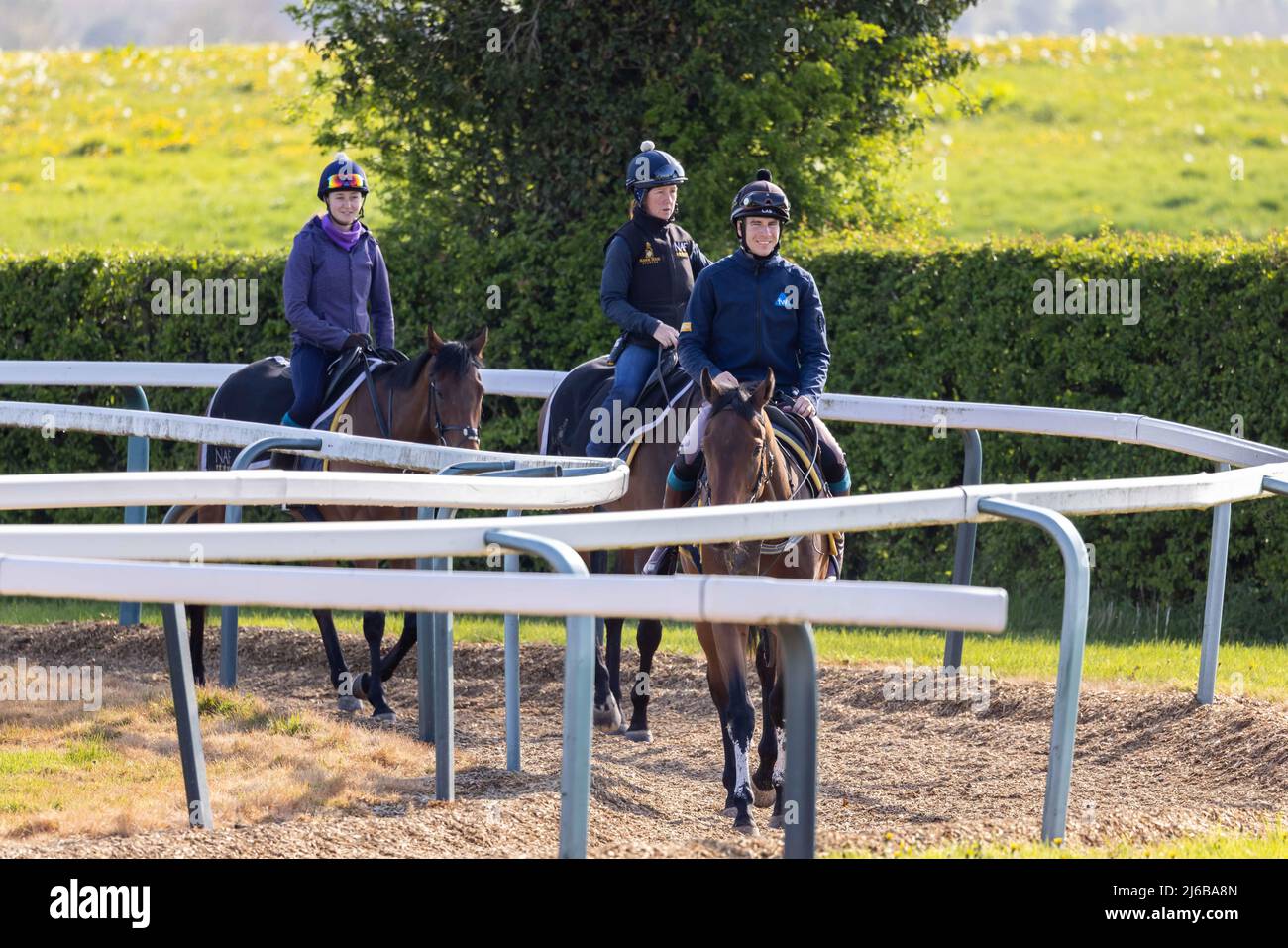 Manor House Stables, Malpas, Cheshire Stock Photo - Alamy