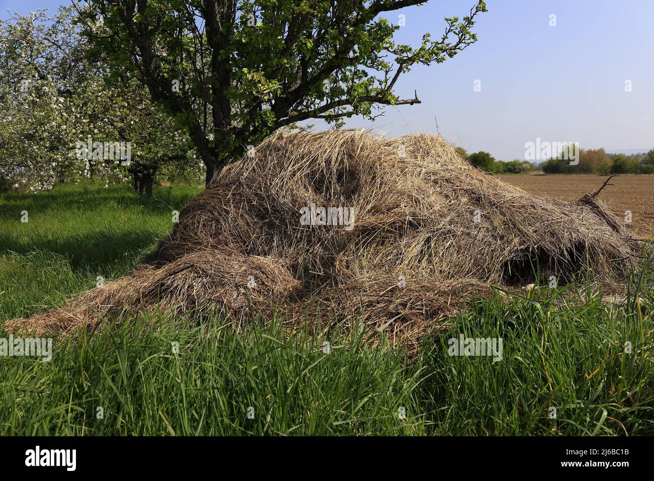 Dry haystack hi-res stock photography and images - Alamy