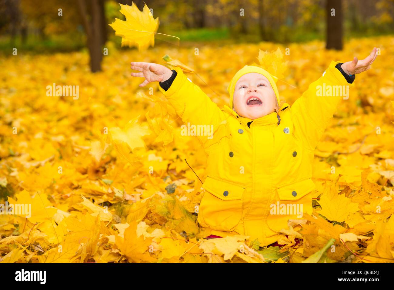 Happy adorable child girl with leaves in autumn park. Fall.The concept ...
