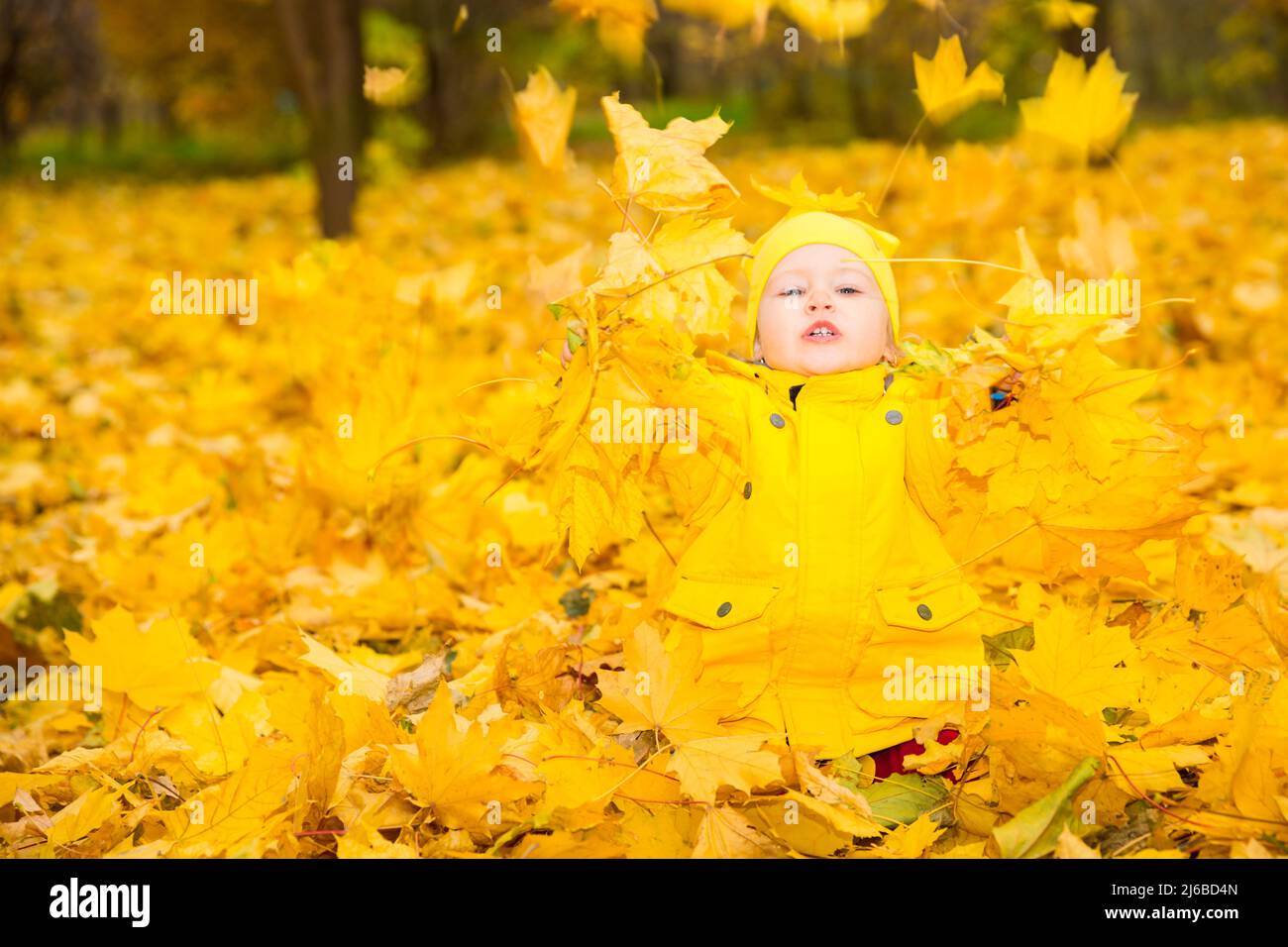 Happy adorable child girl with leaves in autumn park. Fall.The concept ...