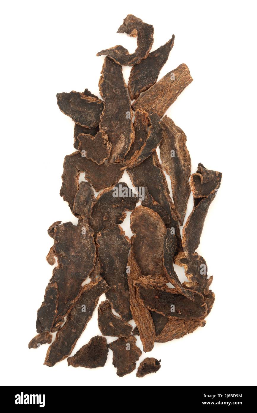 Scrophularia figwort root herb used in traditional Chinese herbal ...