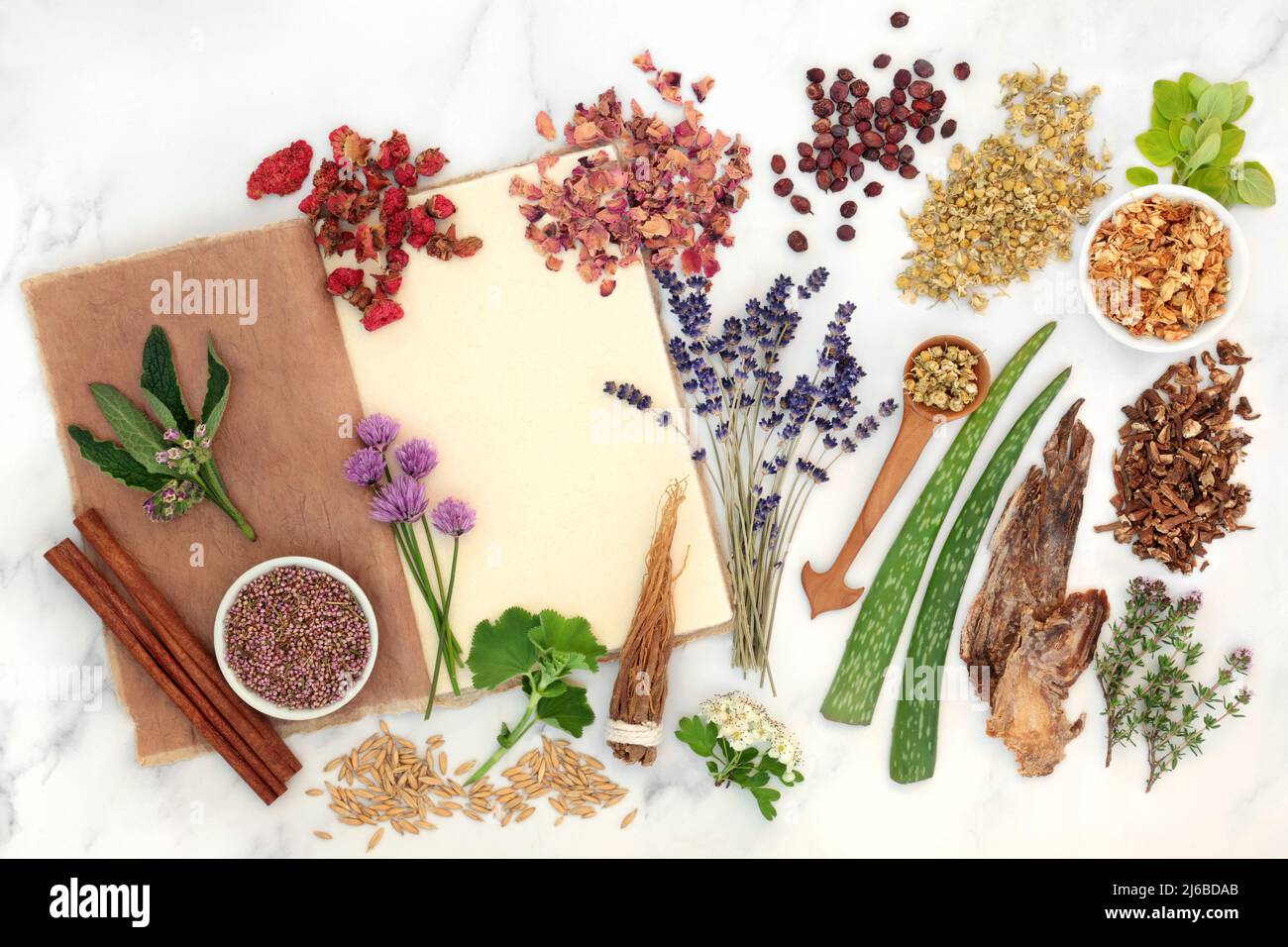 Herbal plant medicine and flower remedy preparation with herbs and ...