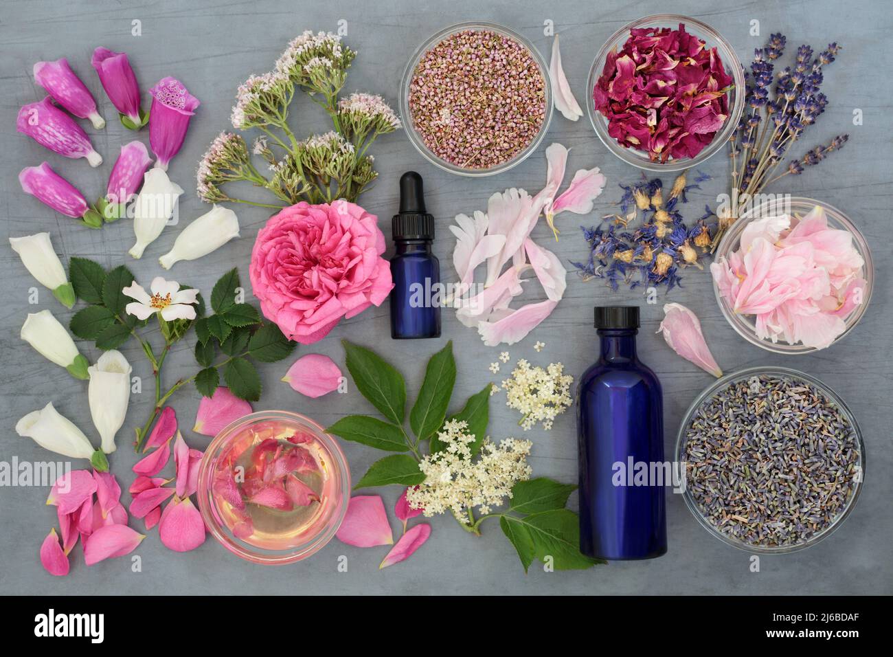 Herbs and flowers used in naturopathic herbal plant medicine and flower ...