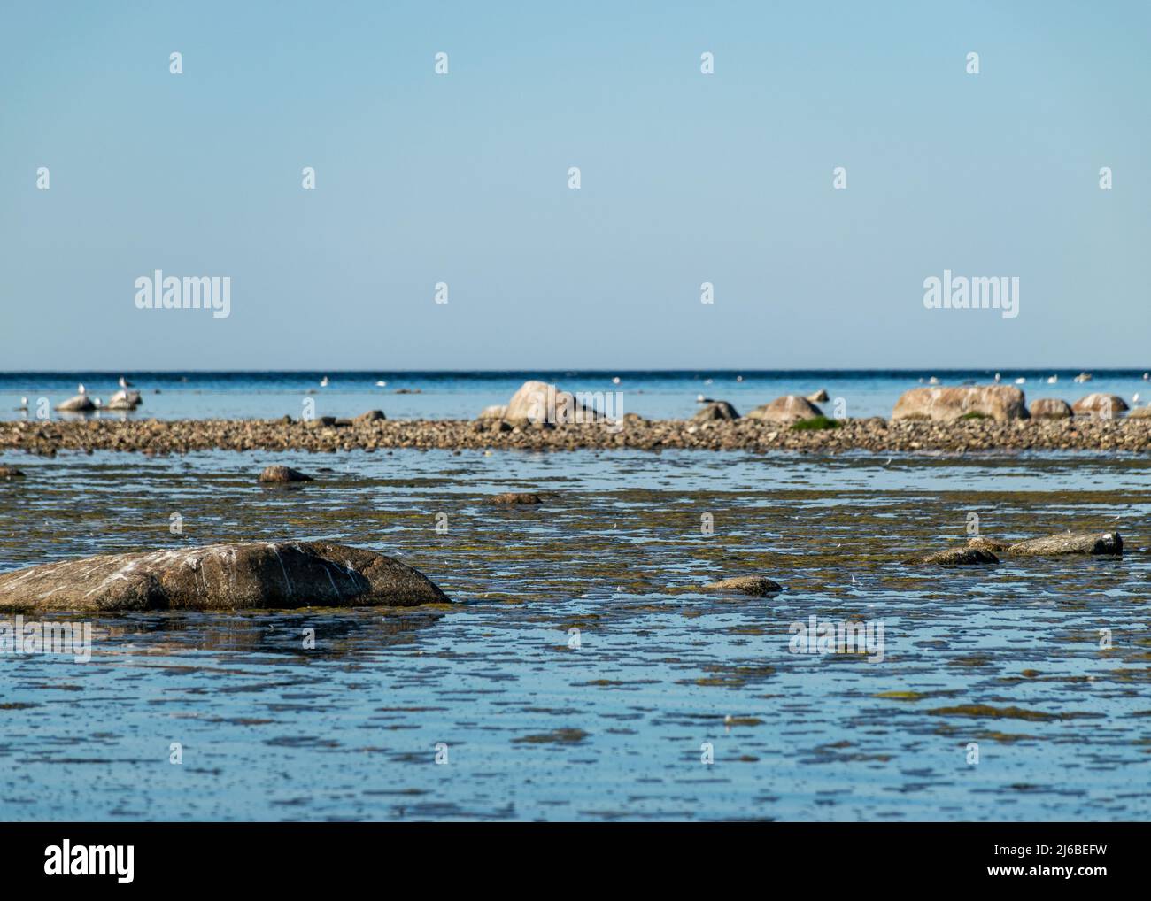 beautiful and picturesque Baltic Sea coast with boulders, Saaremaa ...