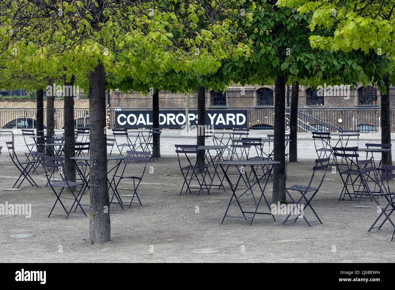 Pleached hi-res stock photography and images - Alamy