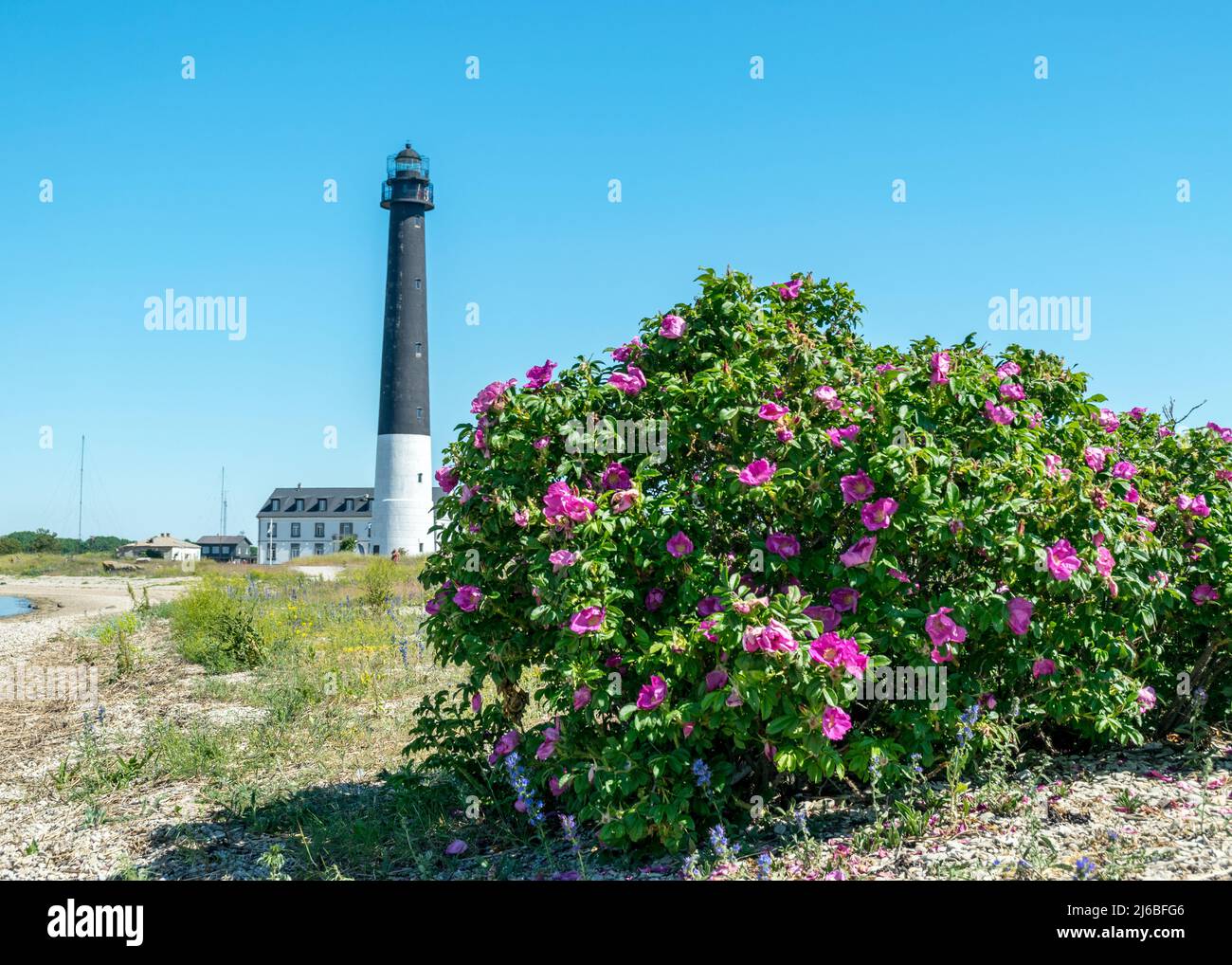 beautiful sightseeing of Saaremaa island in sunny clear day . Sorve ...