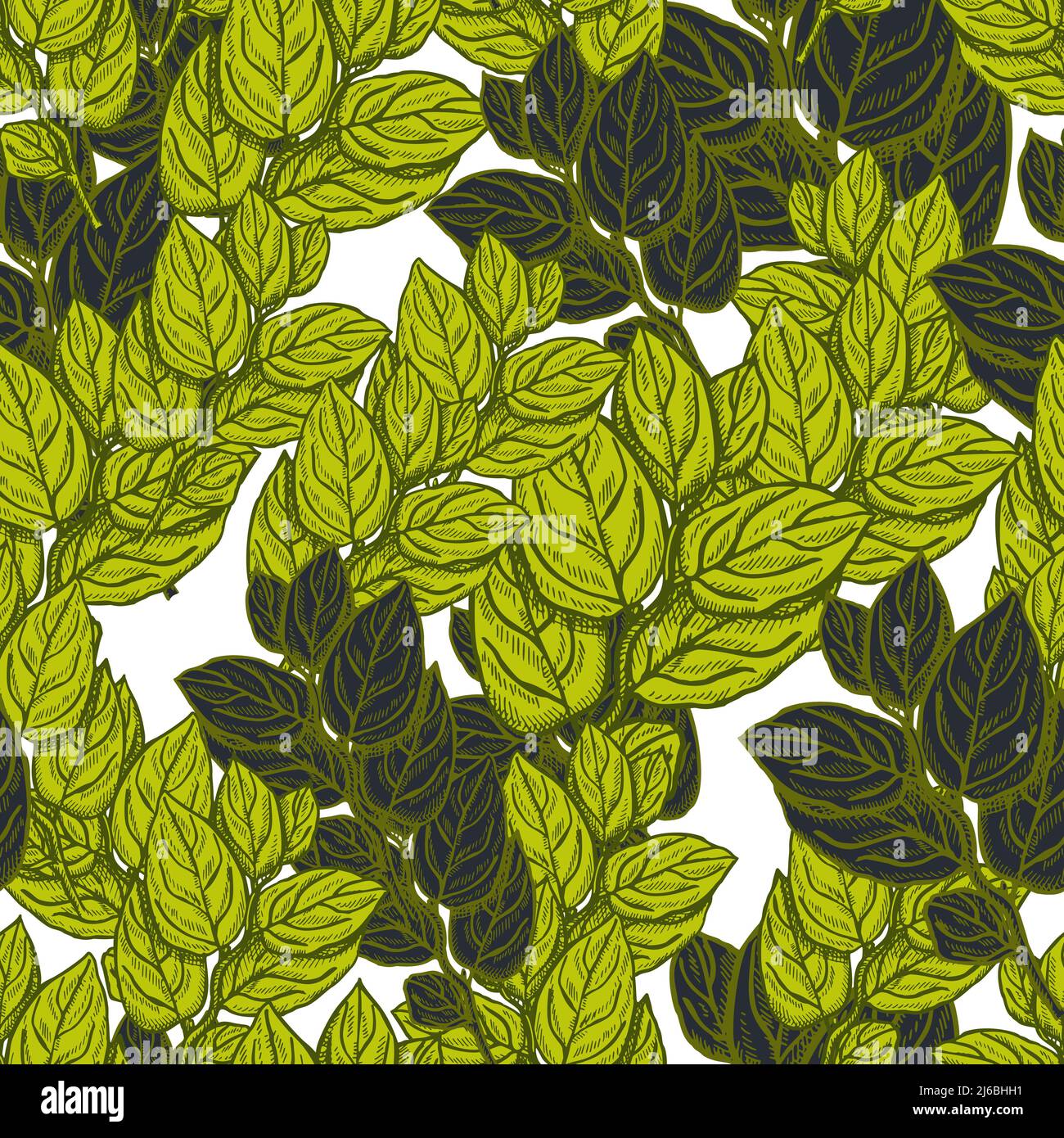 Seamless pattern engraved tree branches. Vintage background summer ...