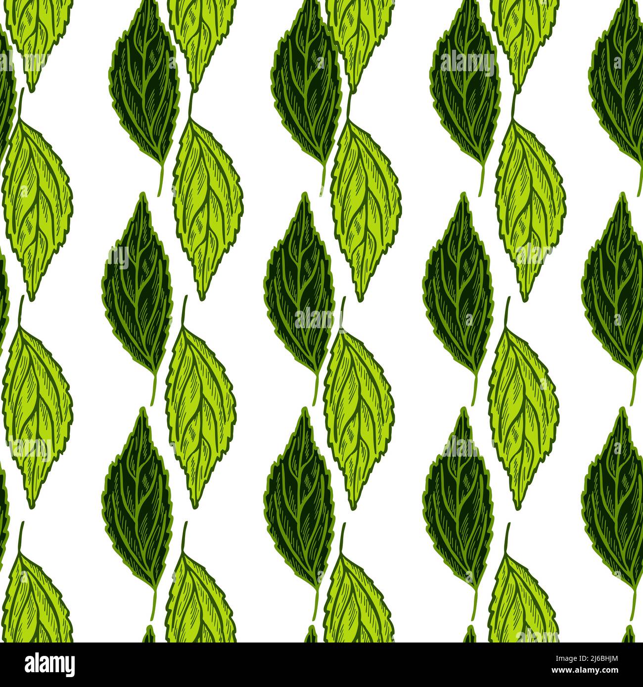 Seamless pattern engraved tree leaves. Vintage background botanical ...