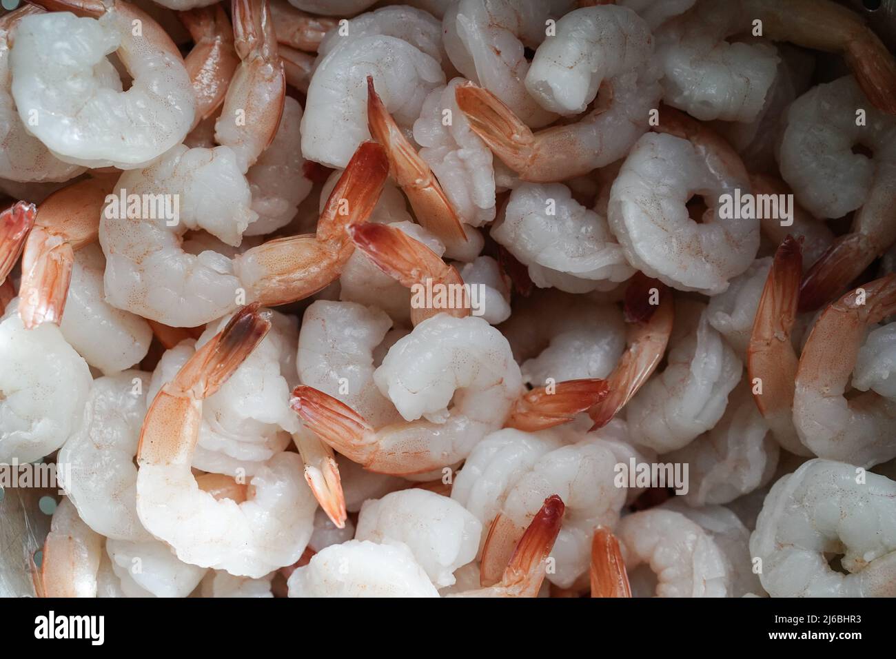 Pre cooked shrimp ready for human consumption Stock Photo - Alamy