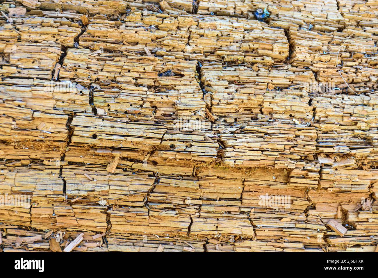 abstract close-up of rotten old wood, wood texture, suitable for ...