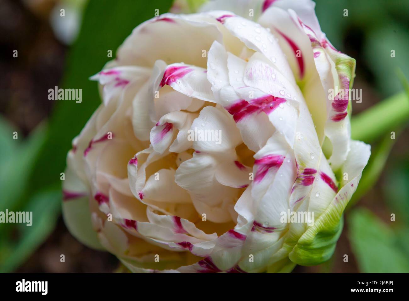 Danceline hi-res stock photography and images - Alamy