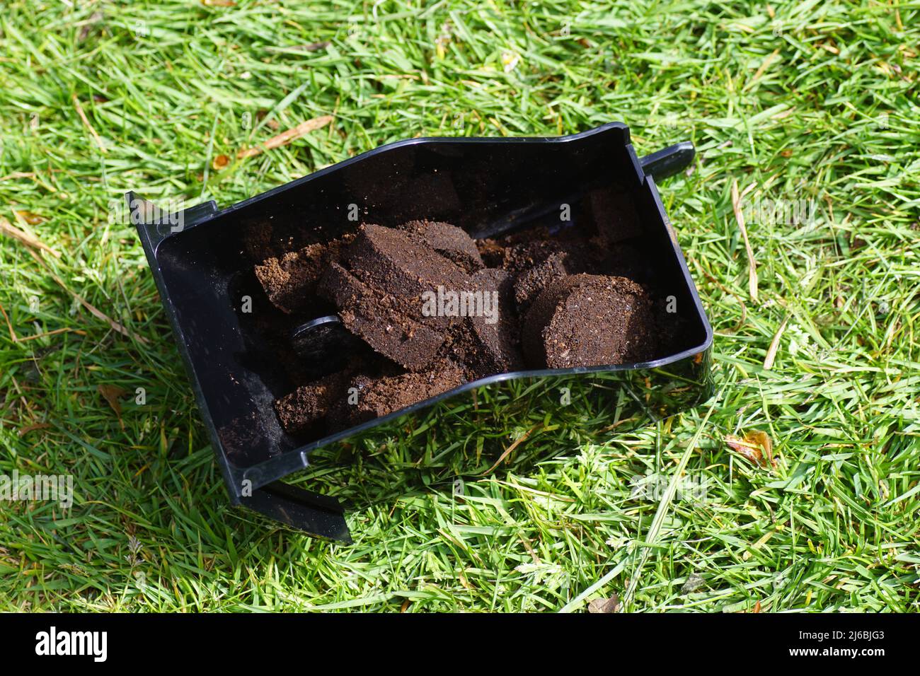 Closeup used coffee grounds after espresso machine. Ground coffee ...