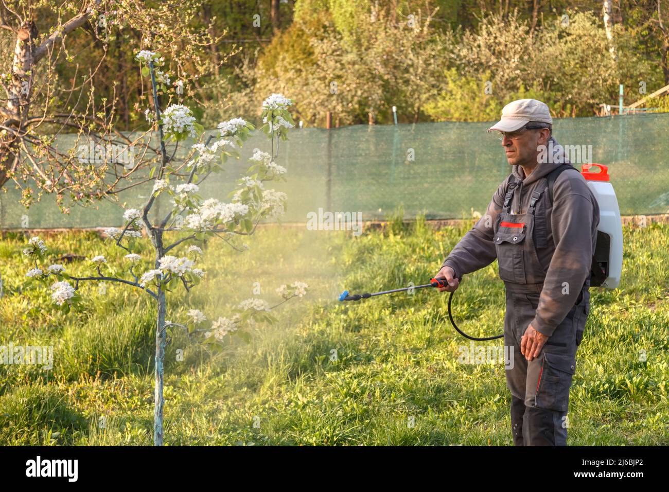 Man spray insects hi-res stock photography and images - Alamy