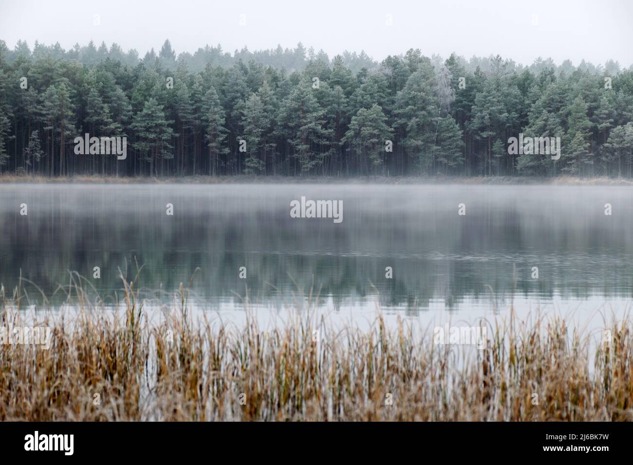 fog landscape with the first frost near the bog lake, calm reflection ...