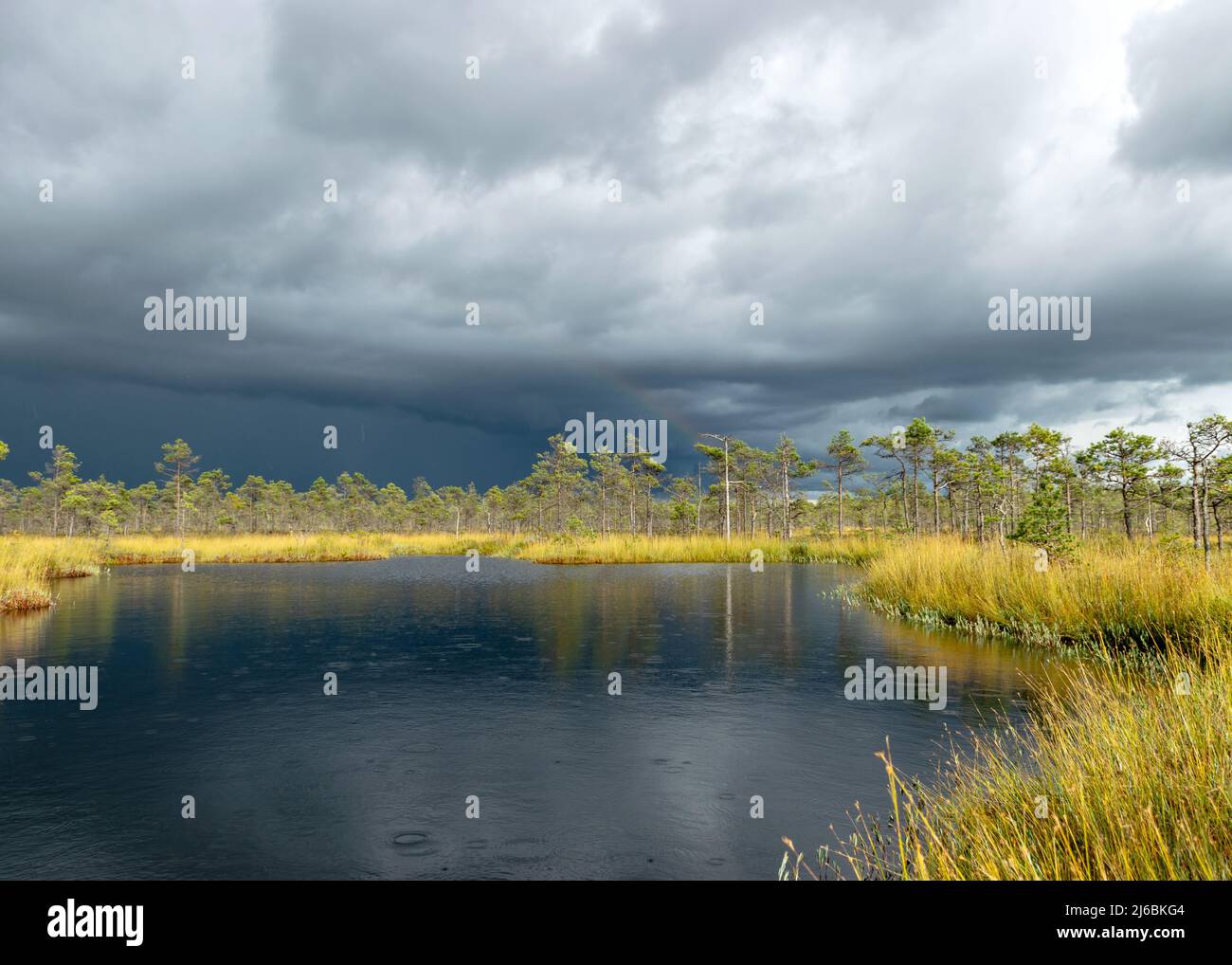 Dramatic clouds on the horizon, beautifu bog landscape before the storm ...