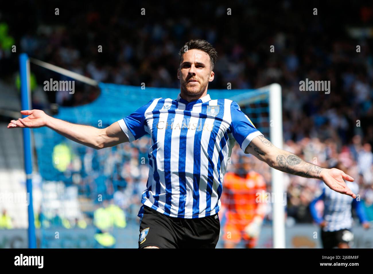 Lee Gregory #9 of Sheffield Wednesday Celebrates scoring a goal to make ...