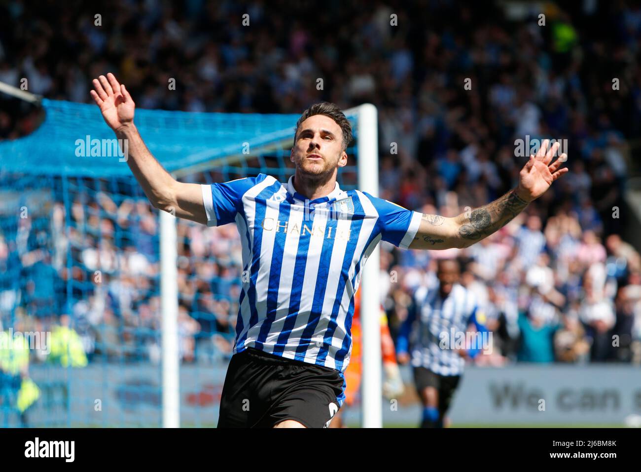 Lee Gregory #9 of Sheffield Wednesday Celebrates scoring a goal to make ...
