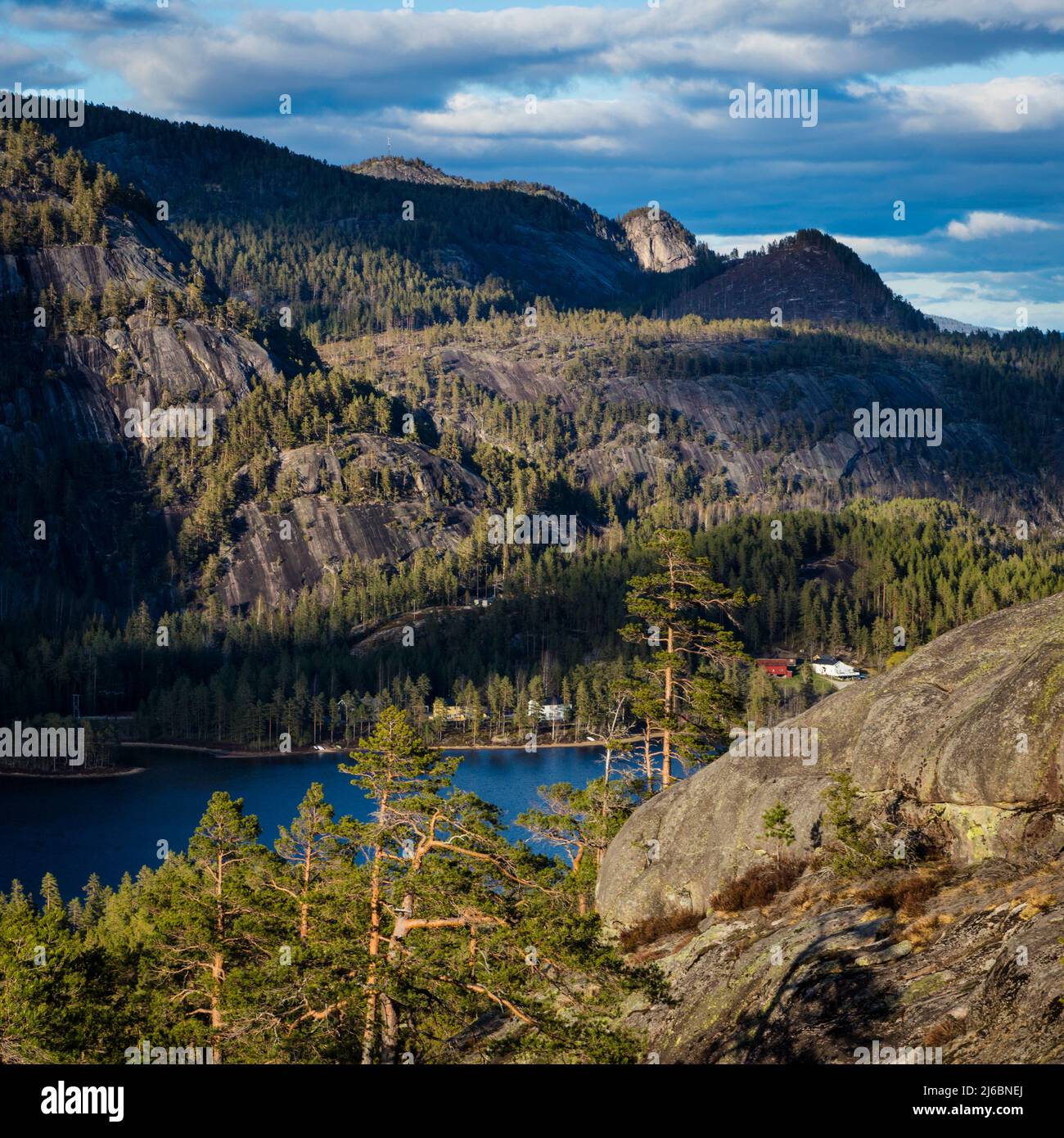 Telemark nissedal eikhom hi-res stock photography and images - Alamy