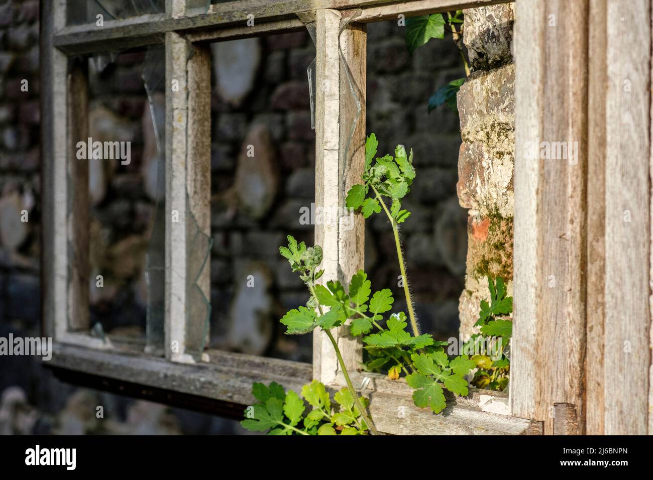 Discovering old and abandoned building lost in, the countryside. Walls ...