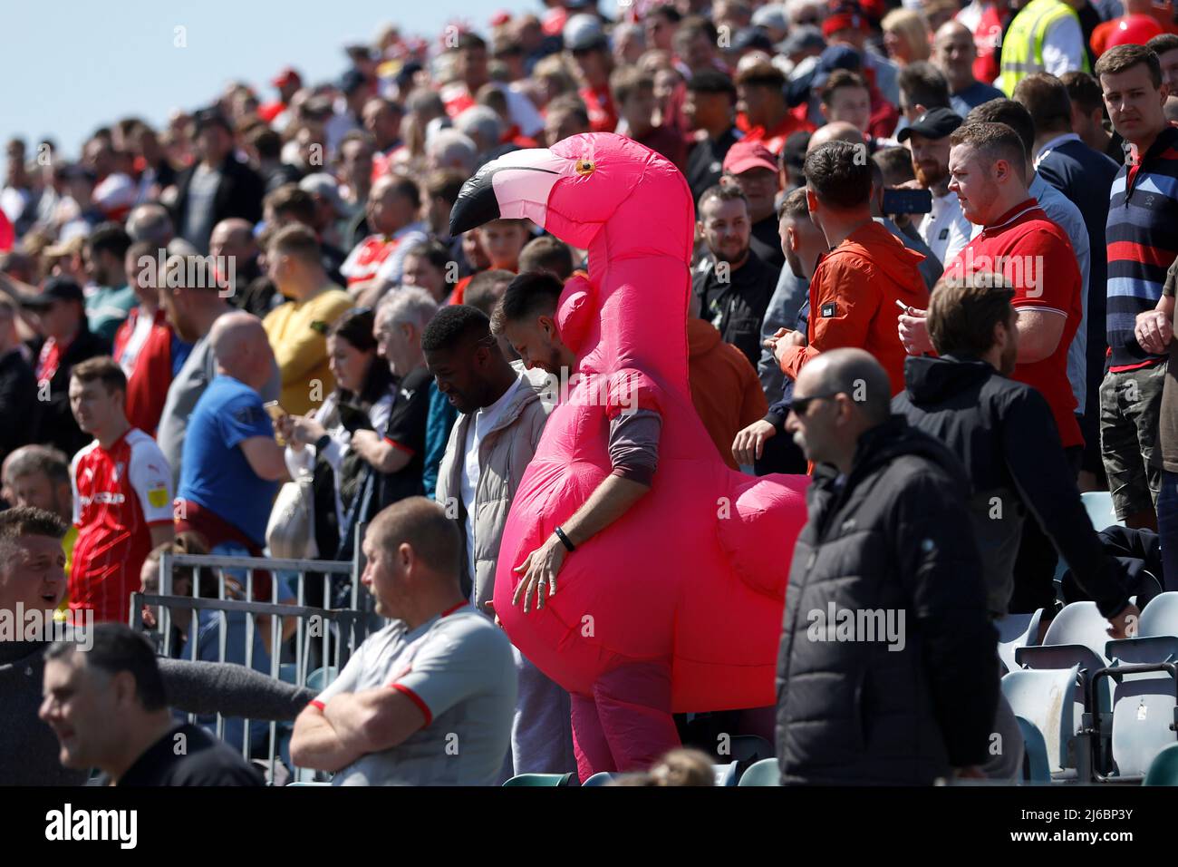 Dressed as a flamingo hi-res stock photography and images - Alamy