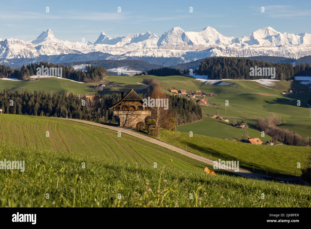 traditional wooden farm house in Emmental in spring in front of the ...