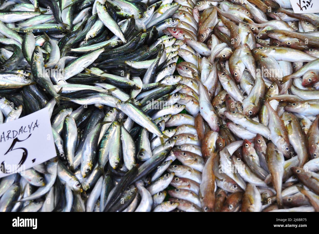 Clean fish are sold fresh at the fish market, fresh horse mackerel fish ...
