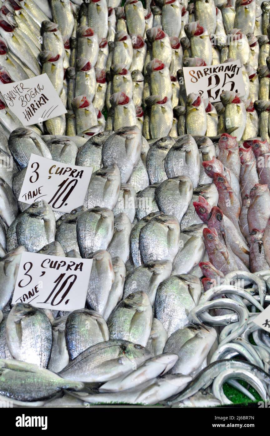 Clean fish are sold fresh at the fish market, fresh various fish for ...