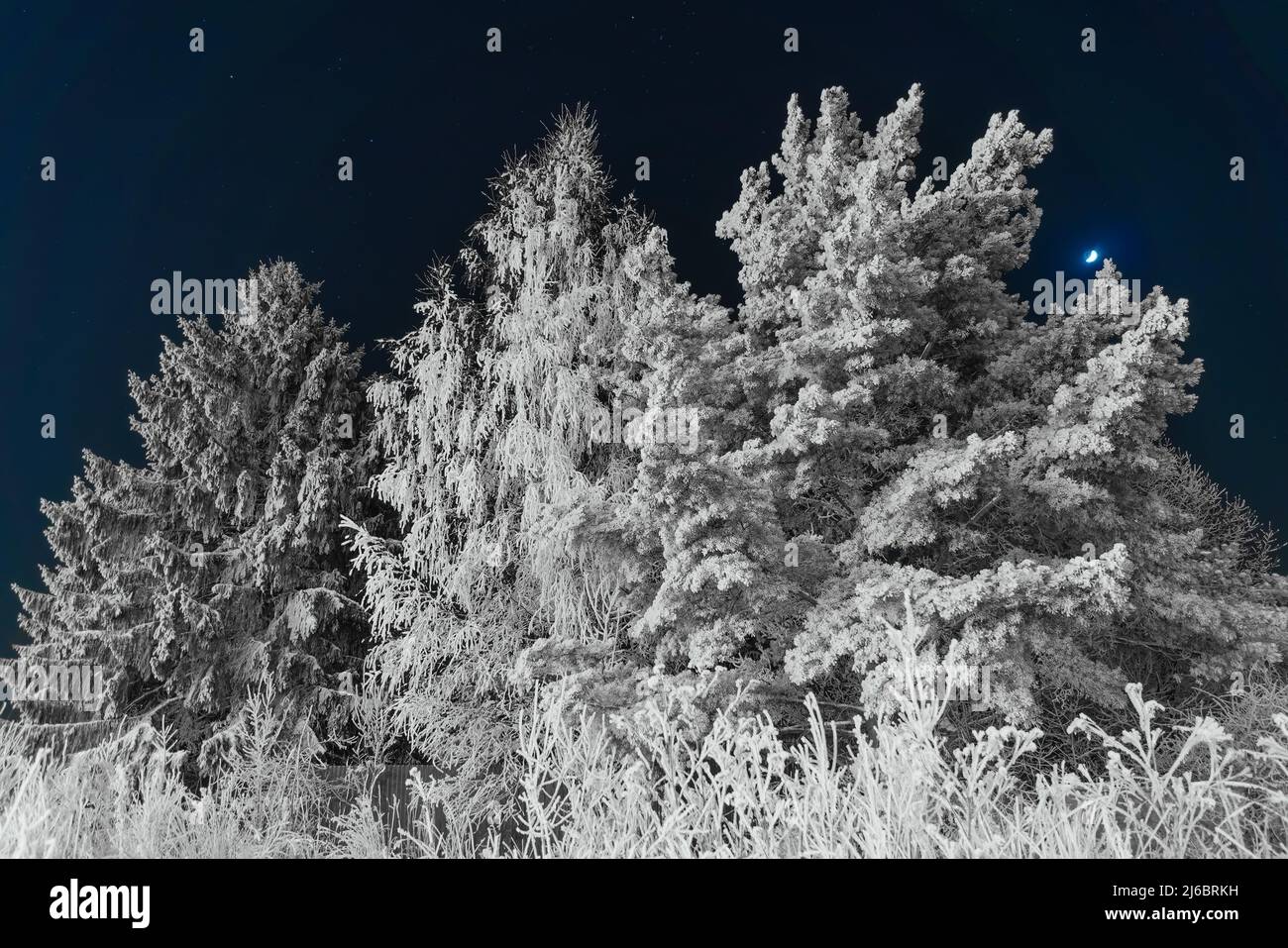 Night frost hi-res stock photography and images - Alamy