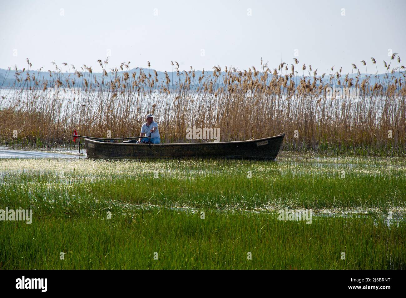 Moving through beautiful summer forest hi-res stock photography and ...