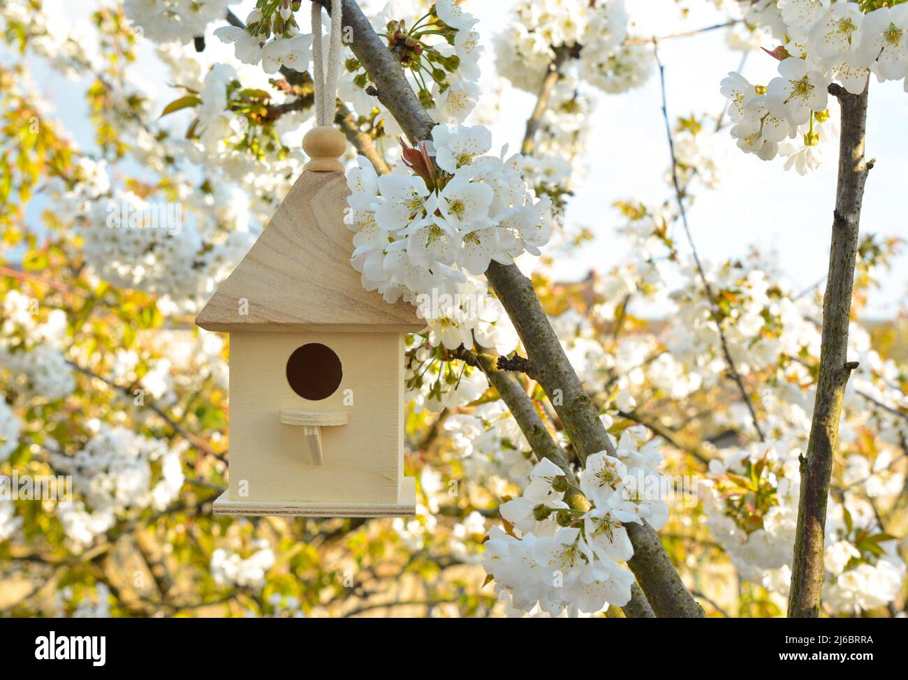 Perfect birdhouse hi-res stock photography and images - Alamy