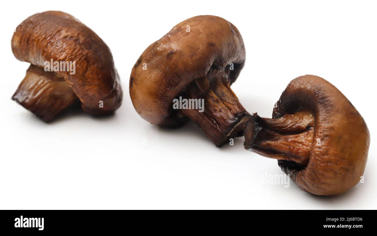 Brown button mushroom Cut Out Stock Images & Pictures - Alamy