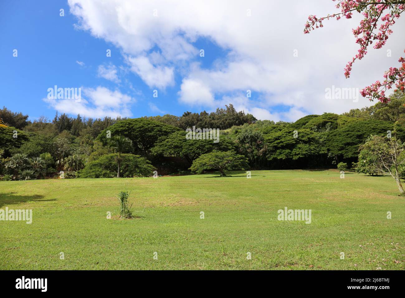 Wide open expanse of green grass lined by a variety of tropical trees ...