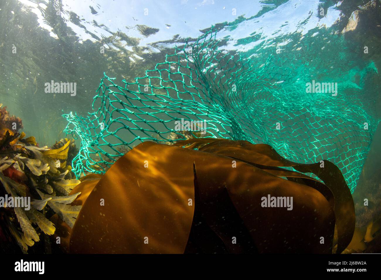 Fishing net underwater hi-res stock photography and images - Alamy