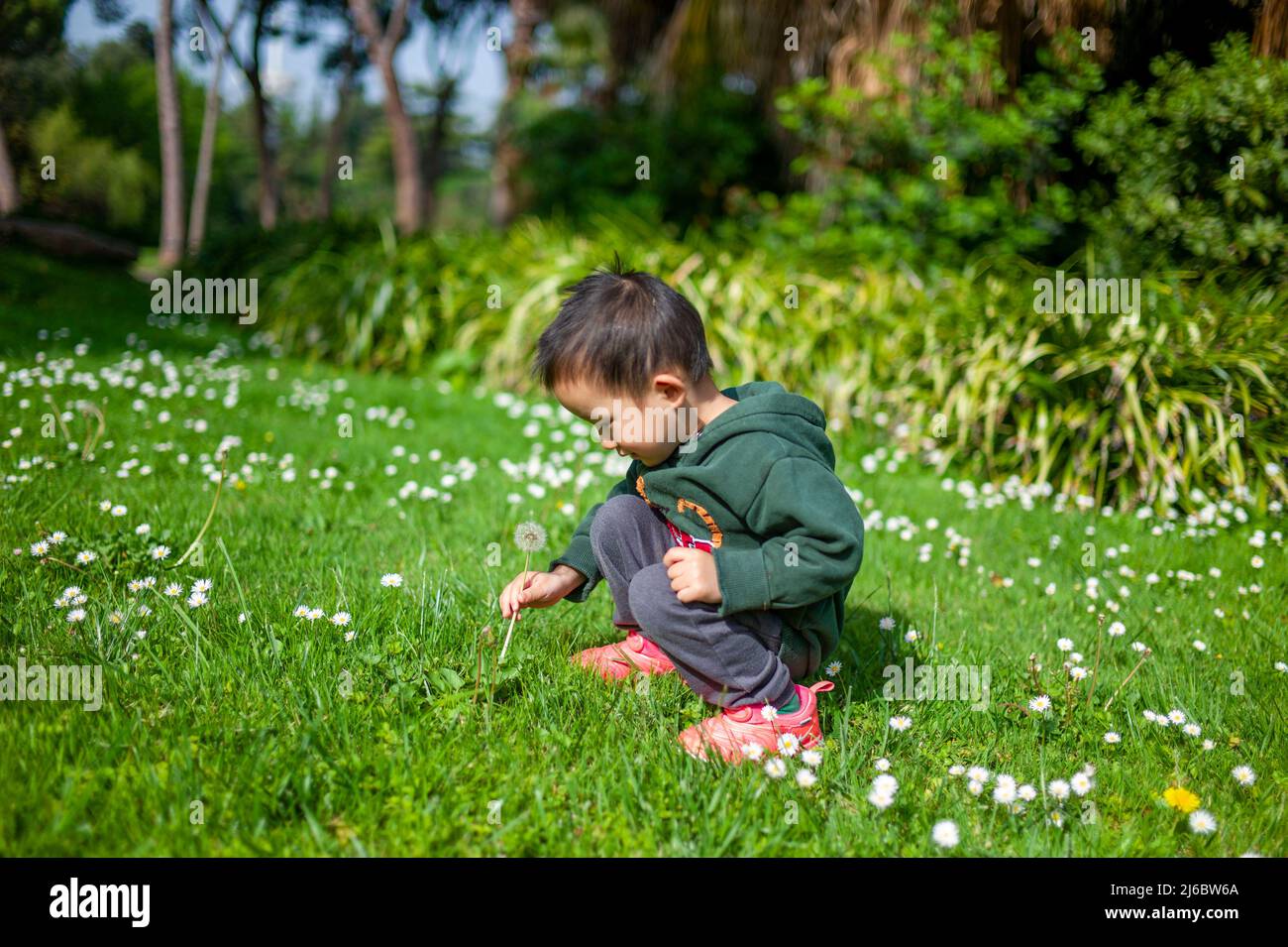 a boy playing on grass,barcelona,spain Stock Photo - Alamy