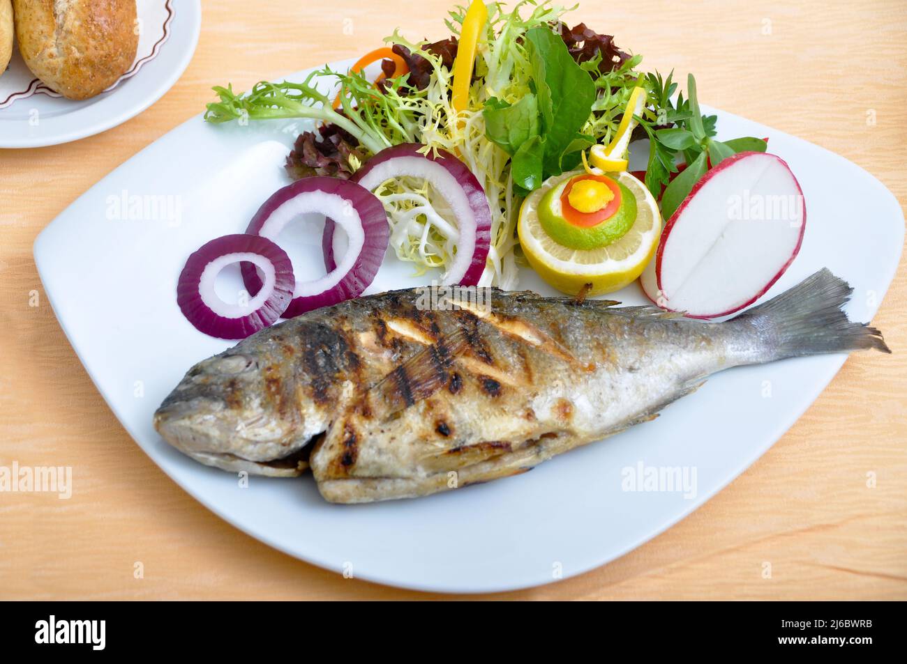 Cupra fish hi-res stock photography and images - Alamy