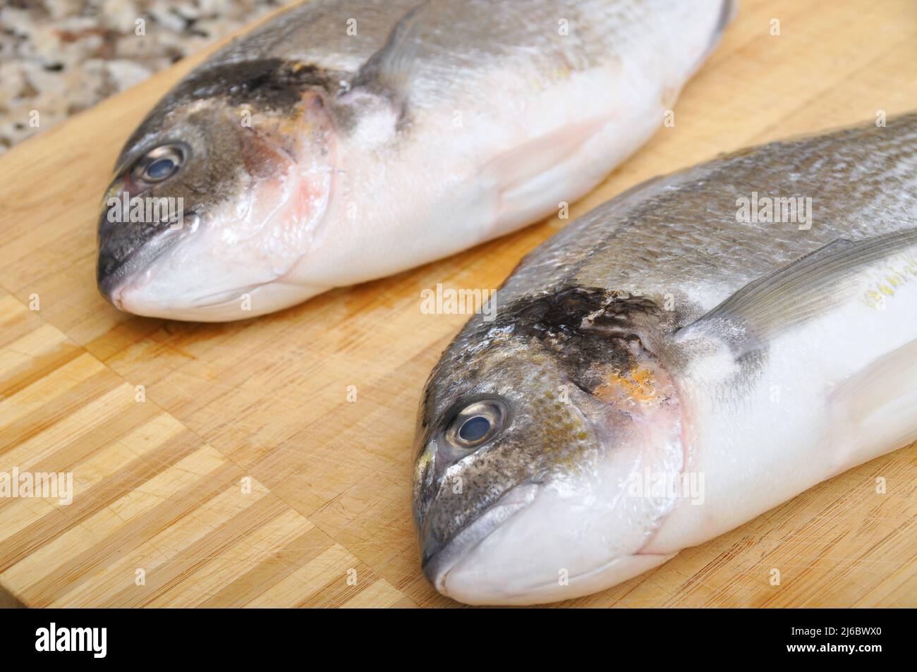 Cipura hi-res stock photography and images - Alamy