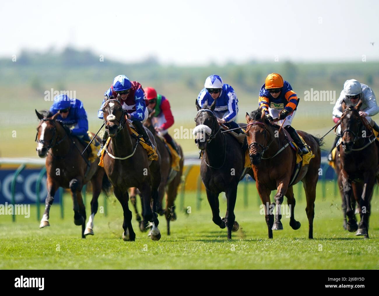 Cap francais horse hi-res stock photography and images - Alamy