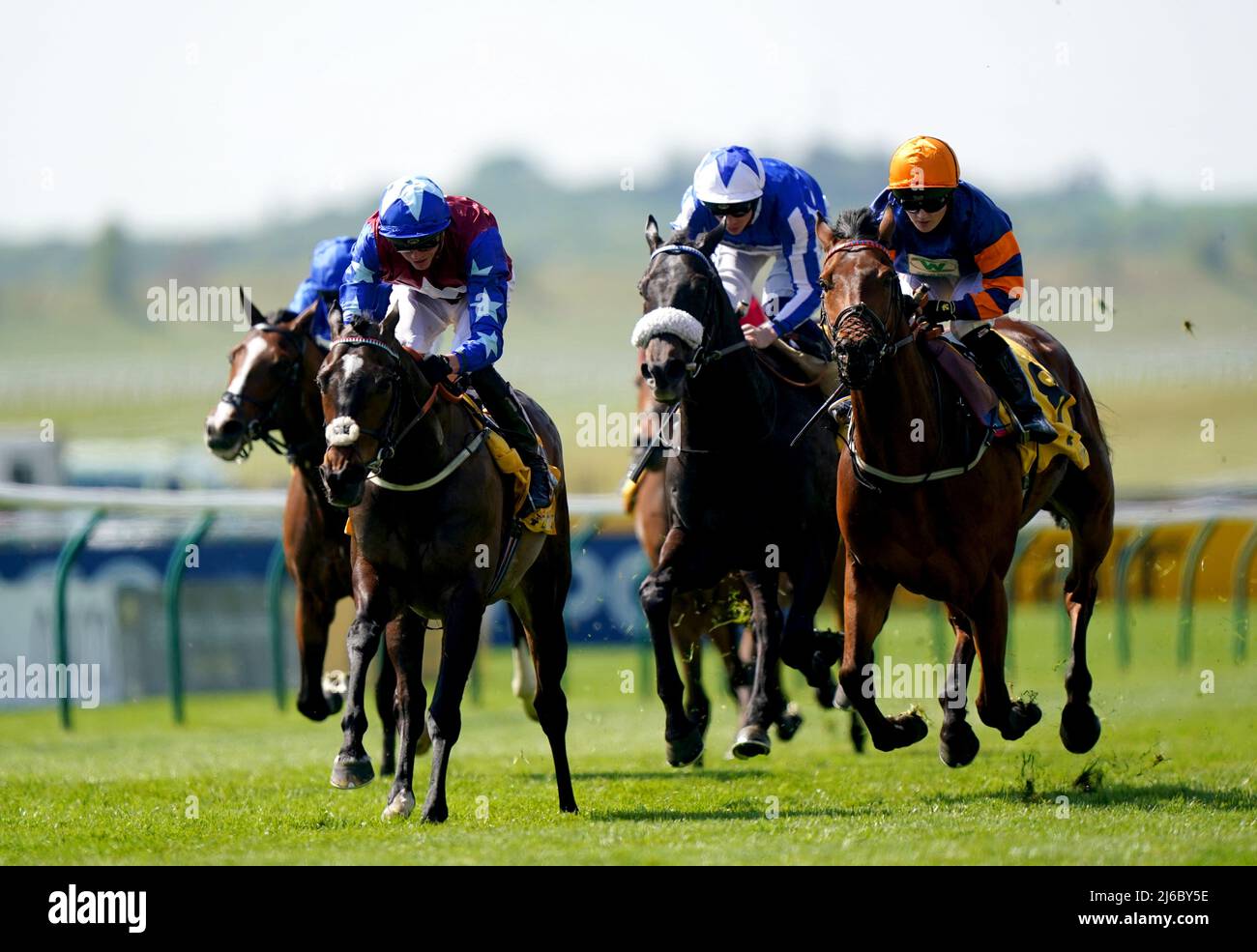Cap francais horse hi-res stock photography and images - Alamy