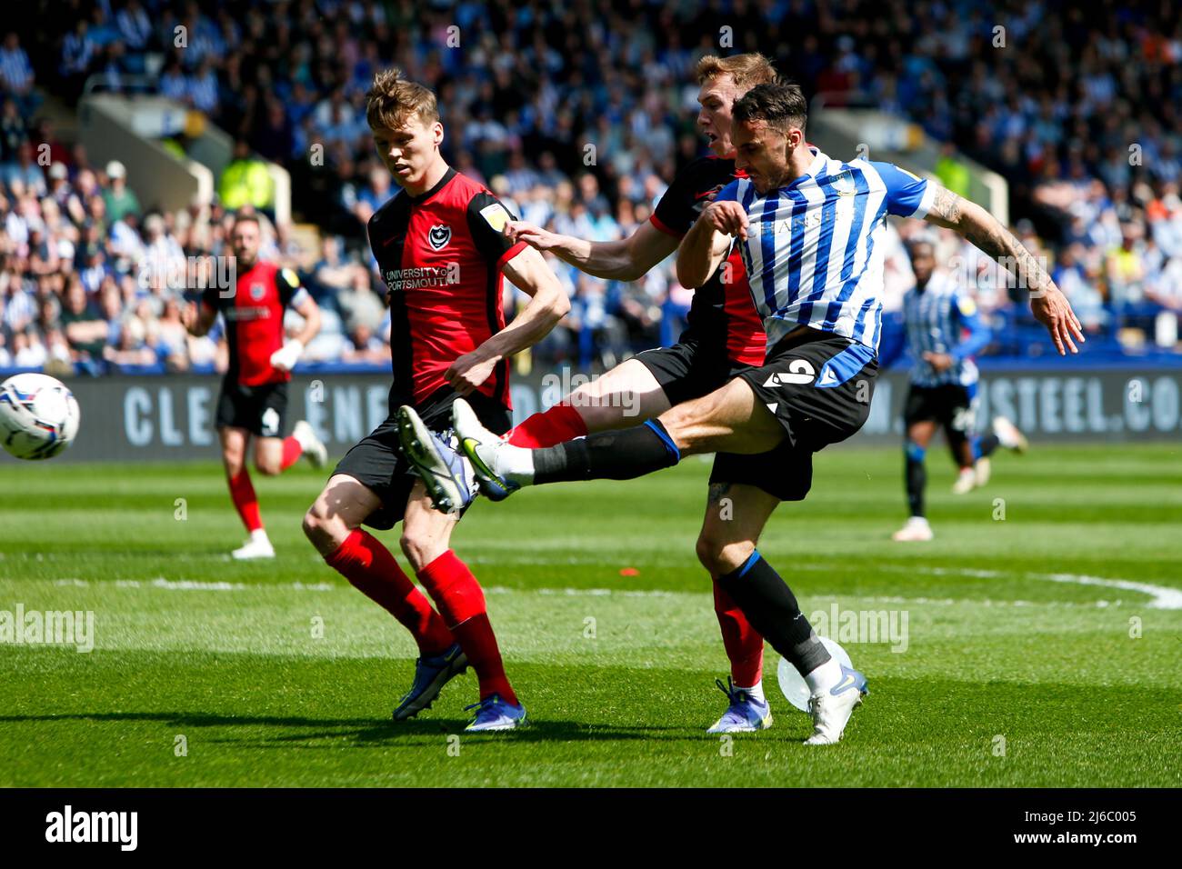Lee Gregory #9 of Sheffield Wednesday attempts a shot on goal Stock ...