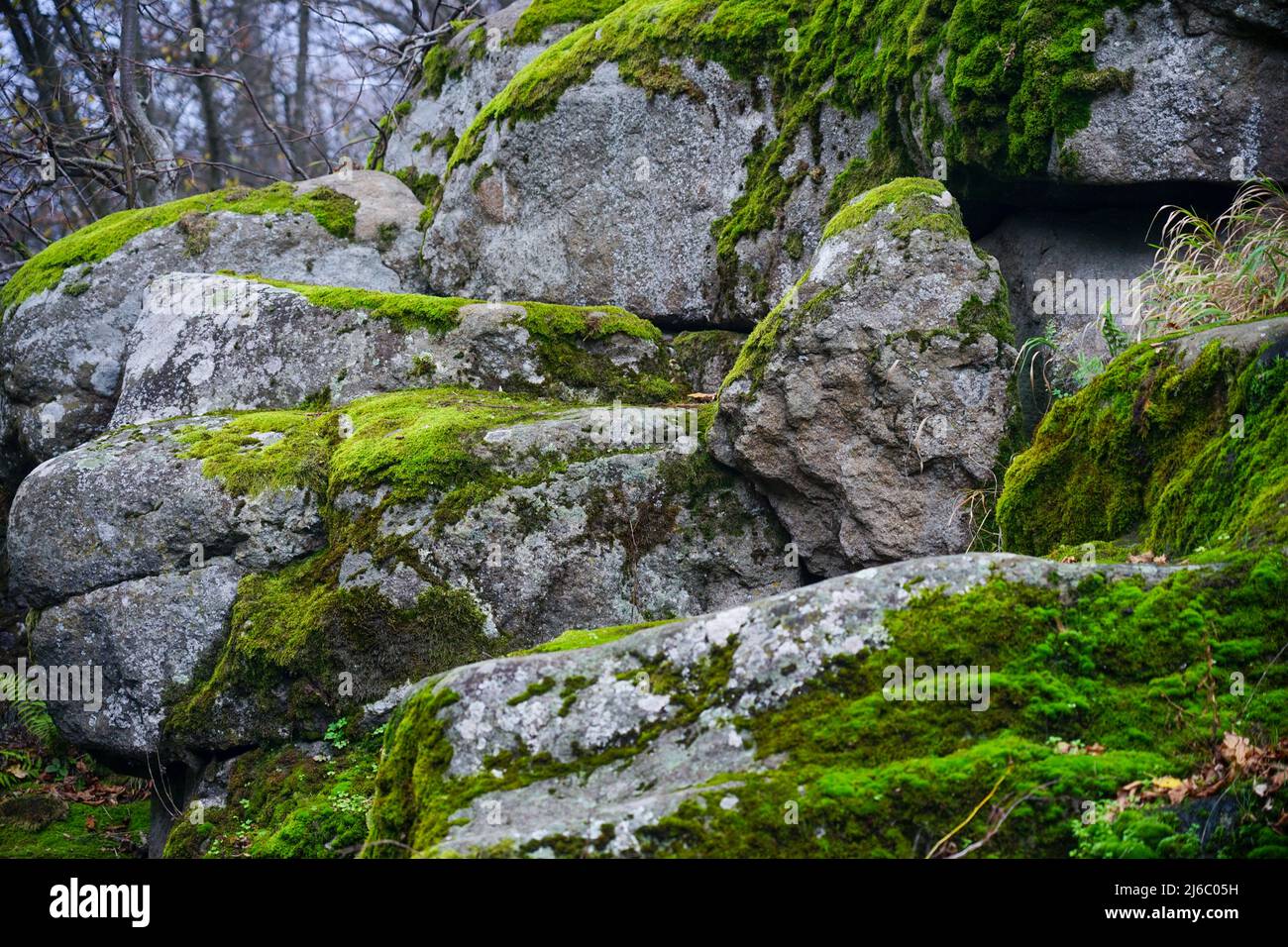 Stone with moss texture hi-res stock photography and images - Alamy